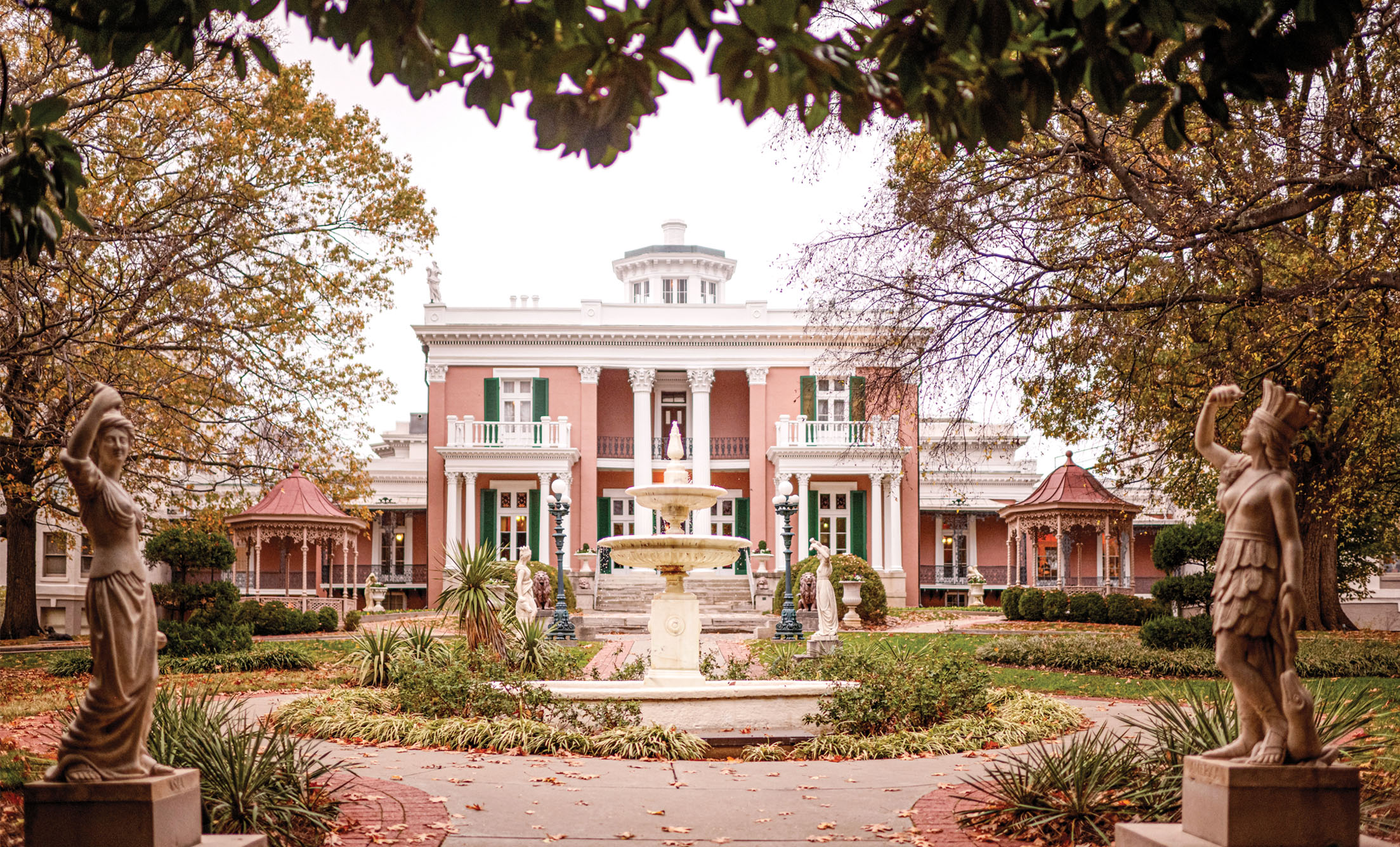 Don’t Look Back. Look Up. – Clemson World Magazine