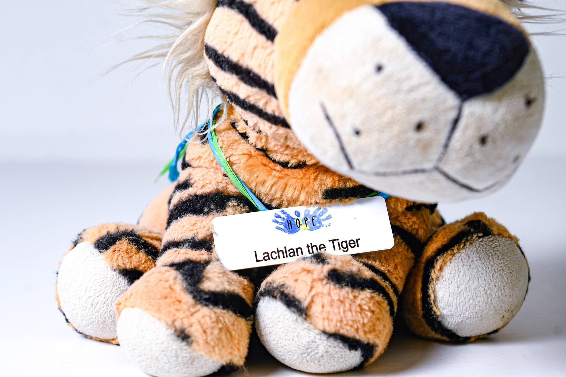 No Greater Love – Clemson World Magazine